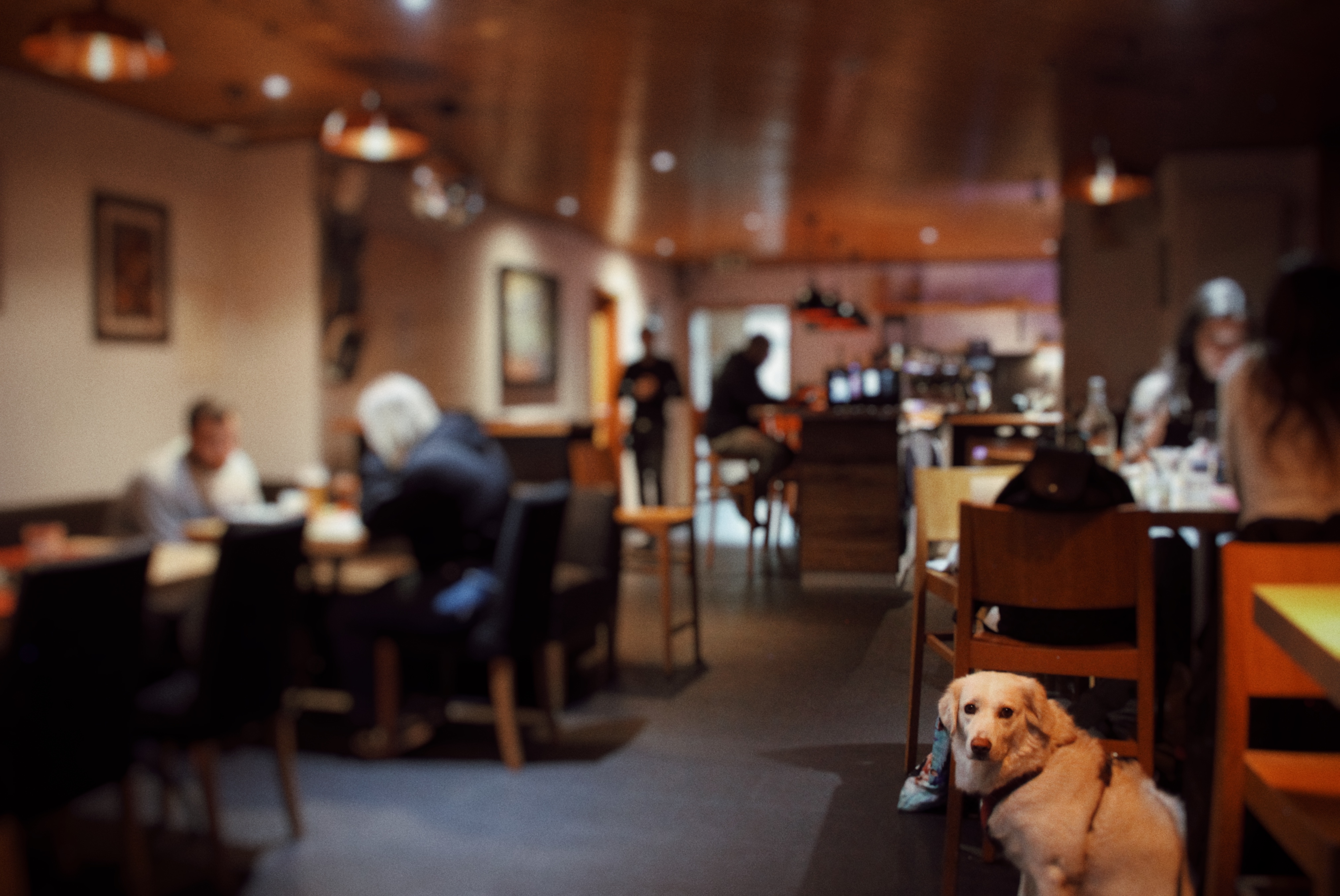 NOTOS Restaurant